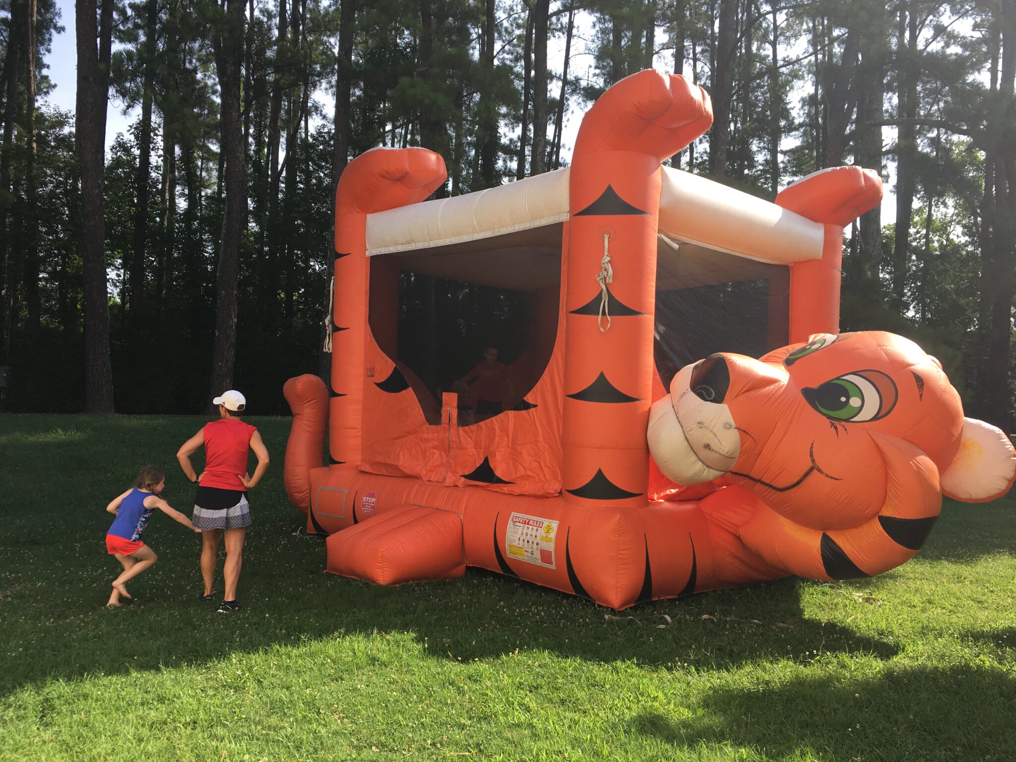 Tiger Belly Bouncer - Memorable Events